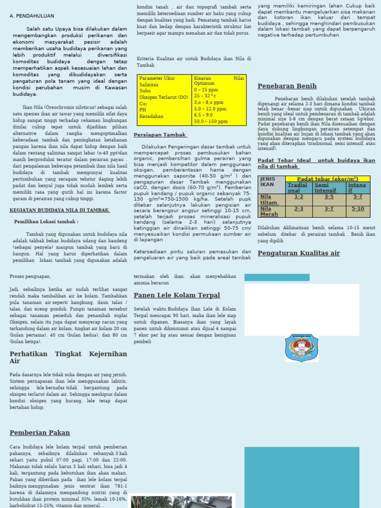 BUDIDAYA IKAN DI Kolam Tanah Leaflet | PDF