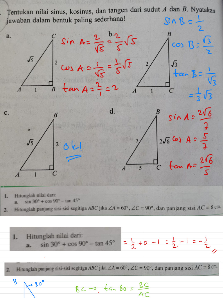 Trigono Kls 10 | PDF