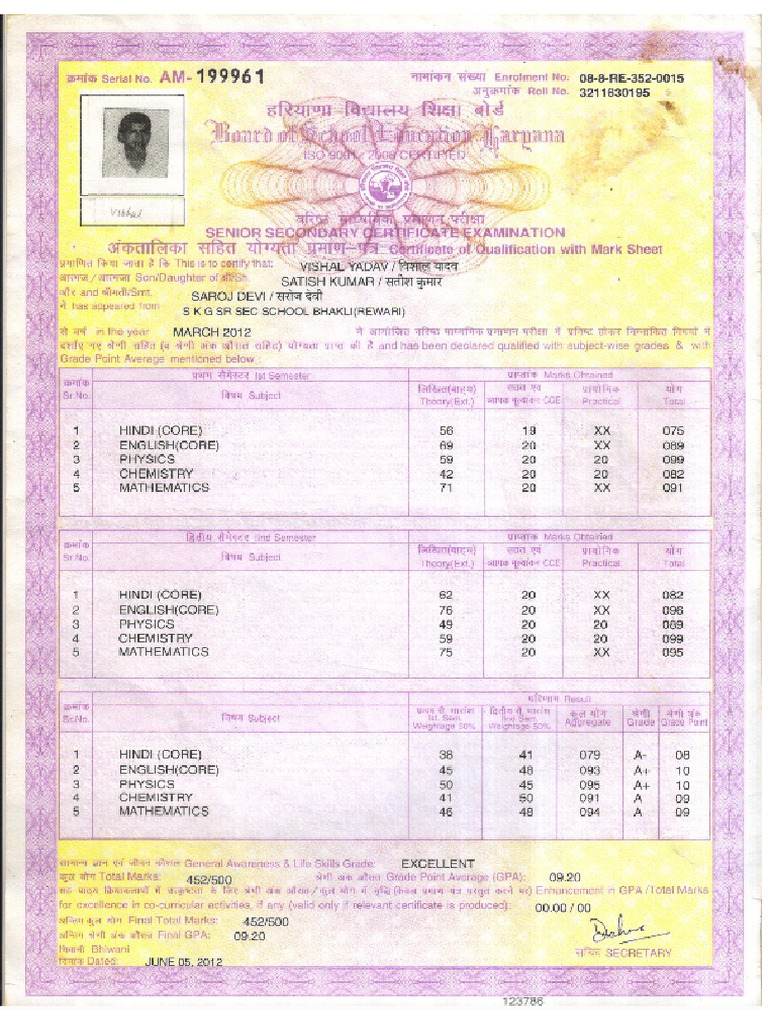 12 Marksheet | PDF