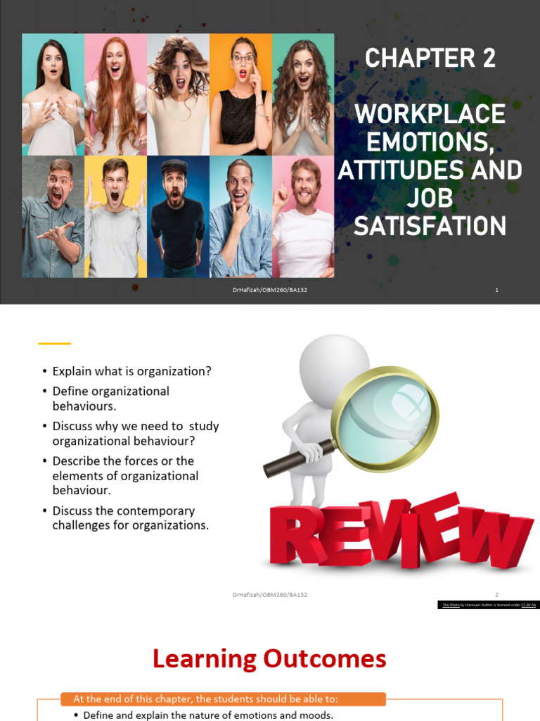 Chapter 2 - Workplace Emotions, Attitudes and Job Satisfaction | PDF ...