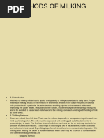 Milking Techniques and Methods Explained | PDF | Dairy | Milk