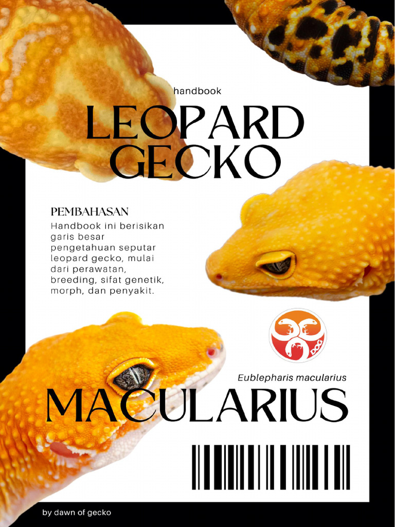 Handbook Leopard Gecko Eublepharis Macularius by Dawn of Gecko | PDF