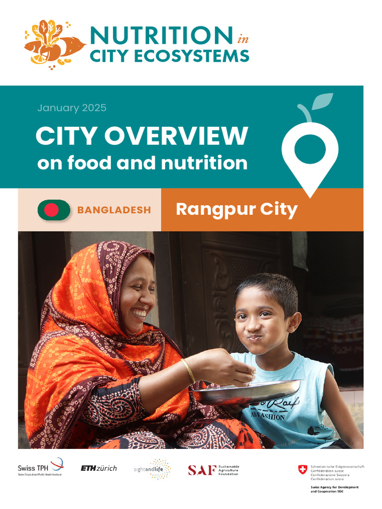 3.2 NICE CityFactsheet BANGLADESH Rangpur 2025 v2 | PDF | Non ...