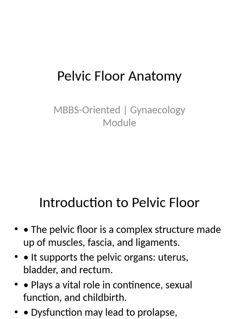 Pelvic Floor Anatomy for Gynaecology | PDF