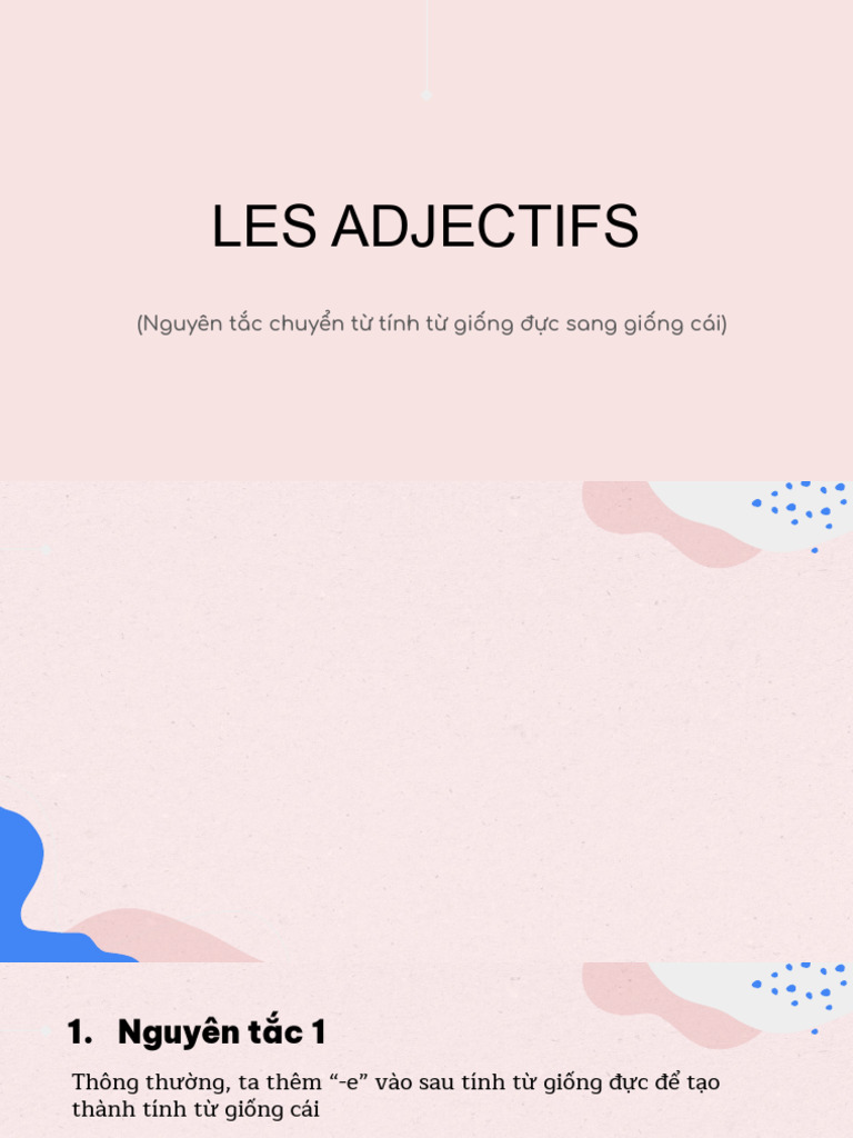 Le Genre (Adjectif) | PDF