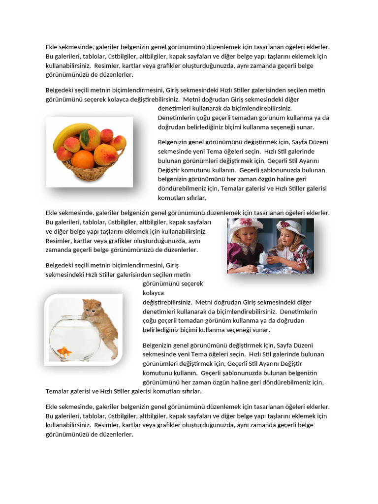 13.1 Resim Ekleme Diger Islemler | PDF