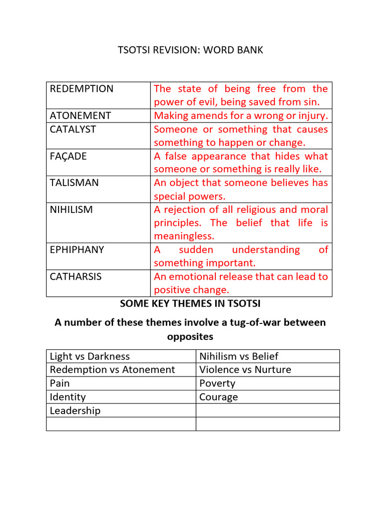 Key Words and Themes in Tsotsi | PDF