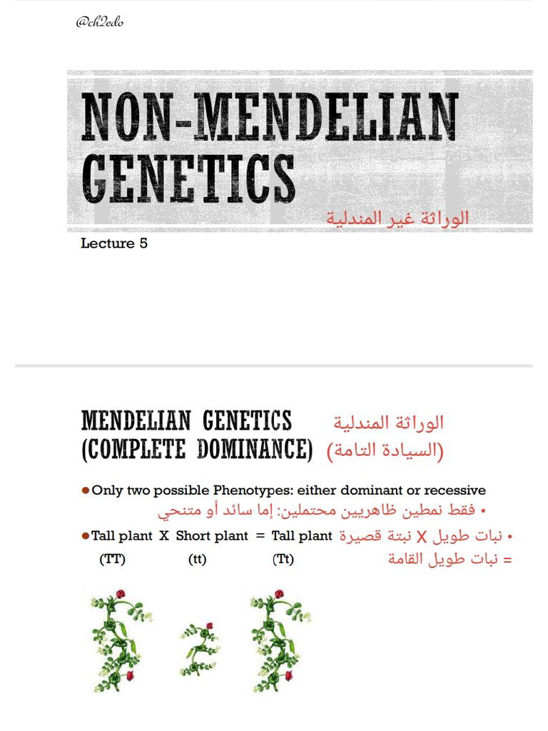 Human Genetics 2 | PDF