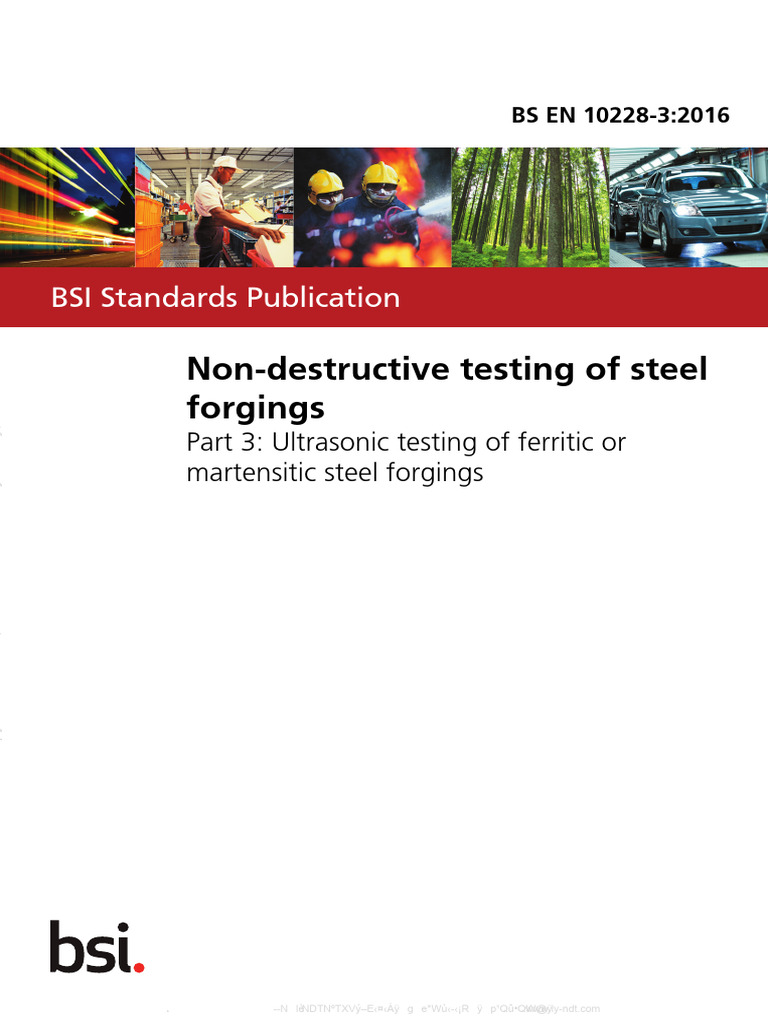 Non-Destructive Testing of Steel Forgings: BSI Standards Publication ...