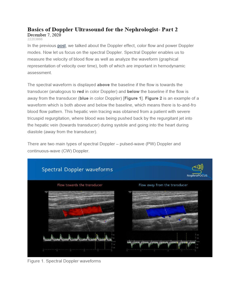 Basics of Doppler Ultrasound For The Nephrologist Part2 | PDF ...