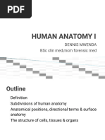 Anatomy and Physiology-Lecture Notes | PDF | Bone | Anatomical Terms Of ...