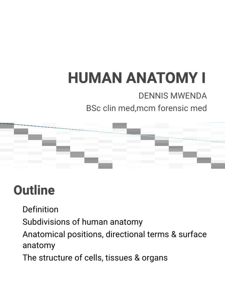 Human Anatomy Overview and Structure | PDF | Cell Membrane | Cell (Biology)