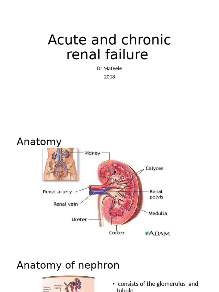 Understanding Acute and Chronic Kidney Failure | PDF | Kidney | Angiotensin