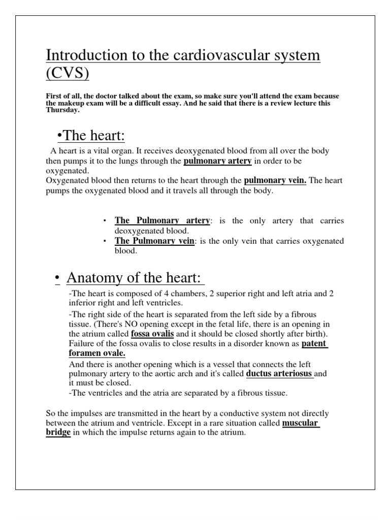 Introduction For The Cardiovascular System 1 | PDF | Atrium (Heart) | Heart