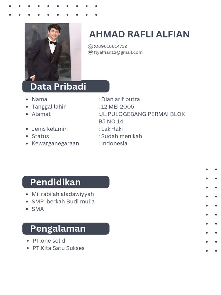 CV Ahmad Rafli Alfian | PDF