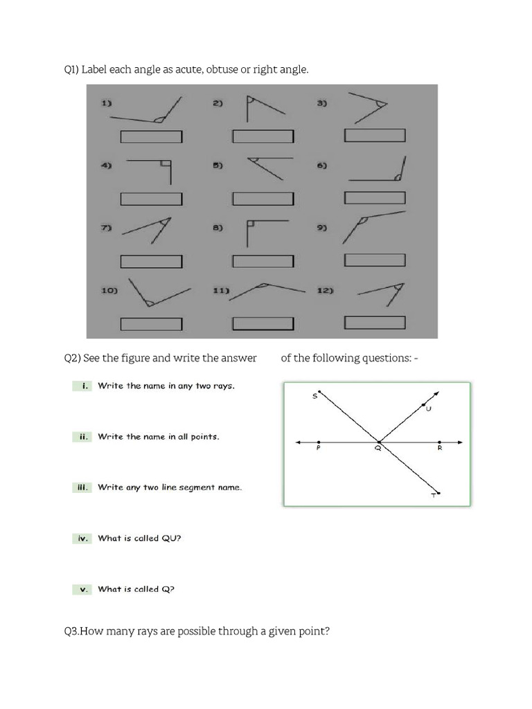 Lines and Angles Worksheet Grade 6 | PDF