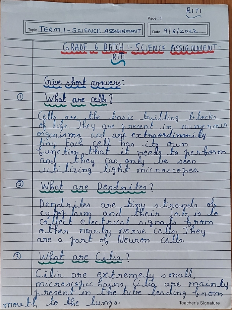 Riti - Science Assignment Term 1 | PDF