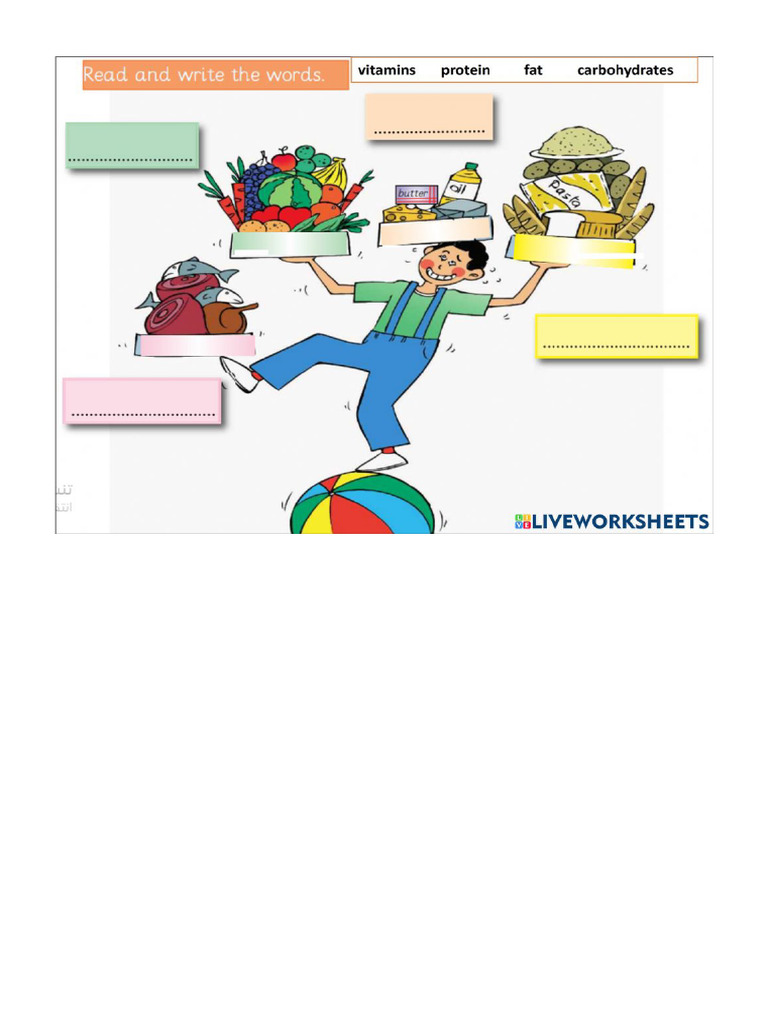 Balanced Diet Worksheet | PDF