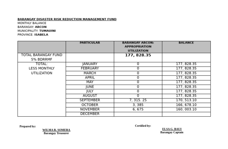 Barangay Disaster Risk Reduction Management Fund | PDF