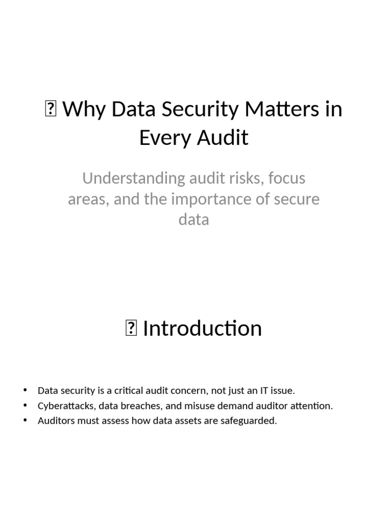 Why Data Security Matters in Every Audit | PDF
