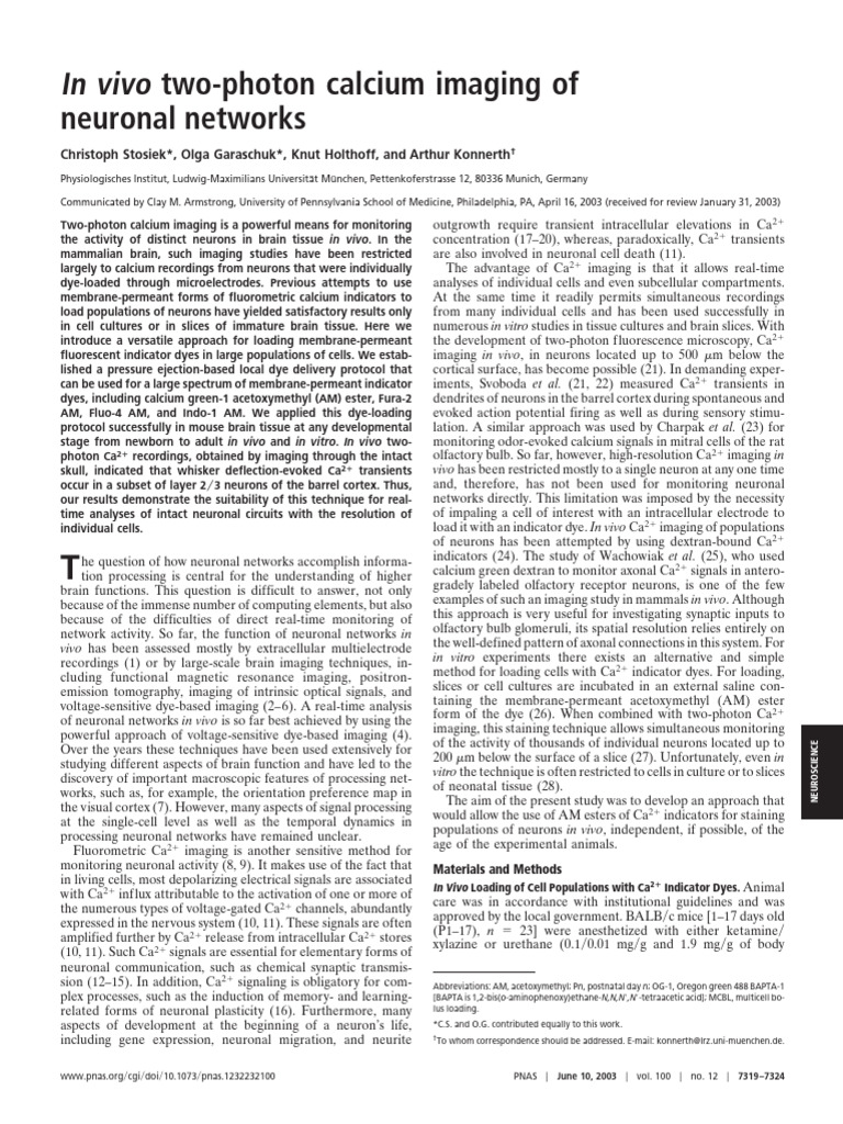 In Vivo Two-Photon Calcium Imaging of | PDF | Neuron | Cerebral Cortex
