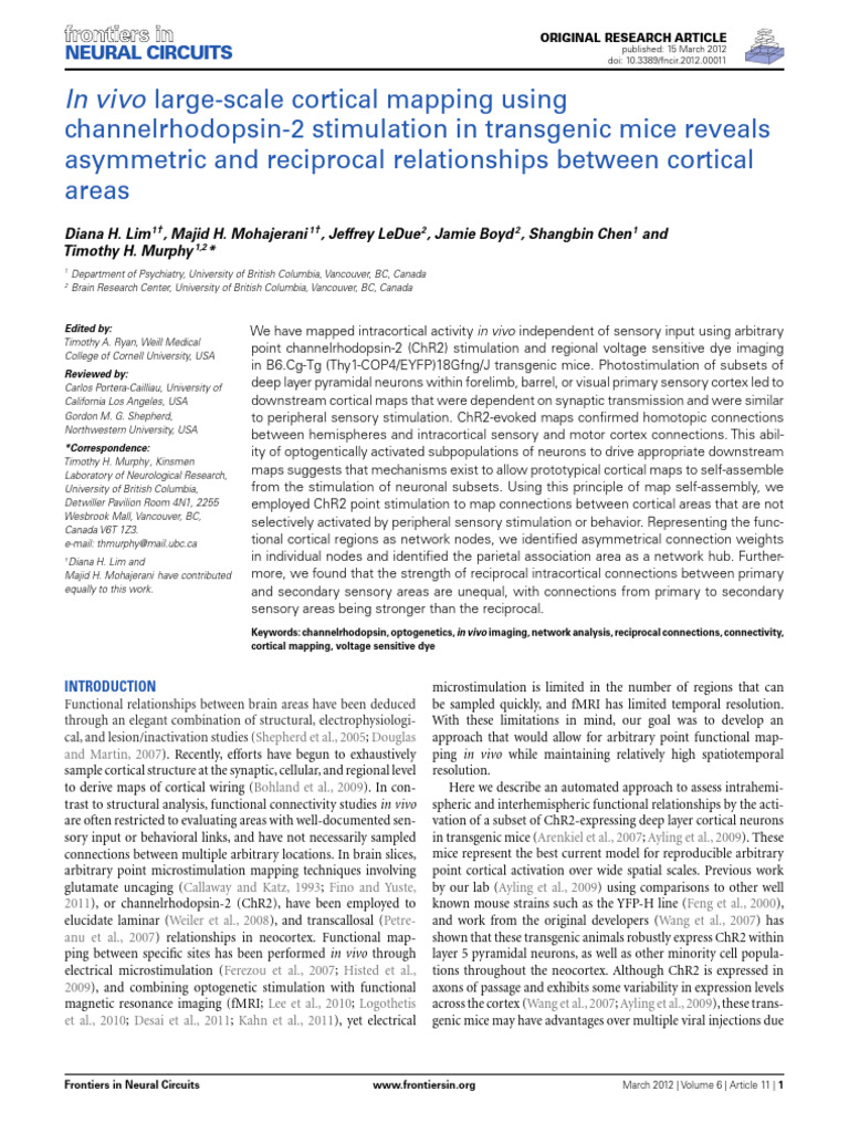 Fncir 06 00011 | PDF | Cerebral Cortex | Electroencephalography
