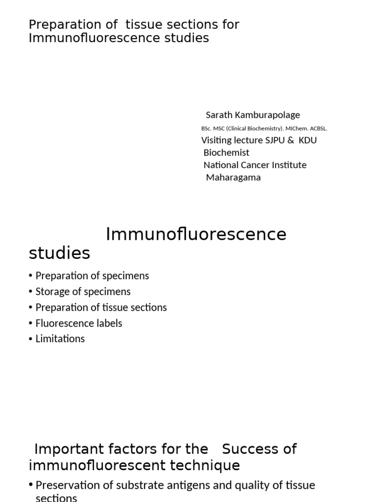 Preparation of Immunofluorescence (1) (2) (2) - 1 | PDF | Immunofluorescence | Antibody