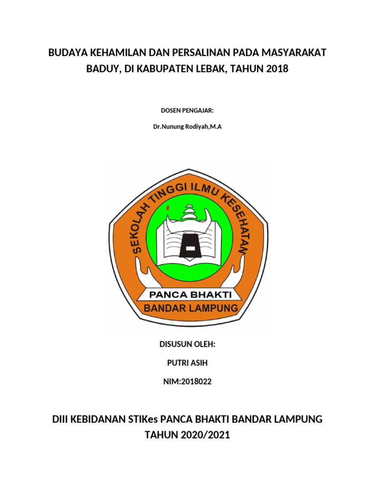 Budaya Kehamilan Baduy dan Kesehatan Ibu | PDF