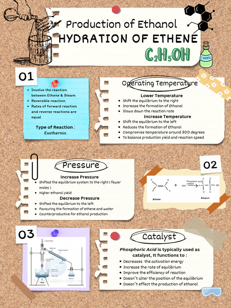 Production of Ethanol | PDF