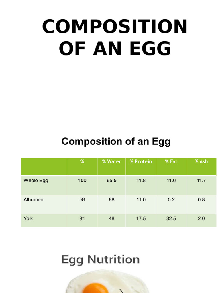 Composition of An Egg | PDF