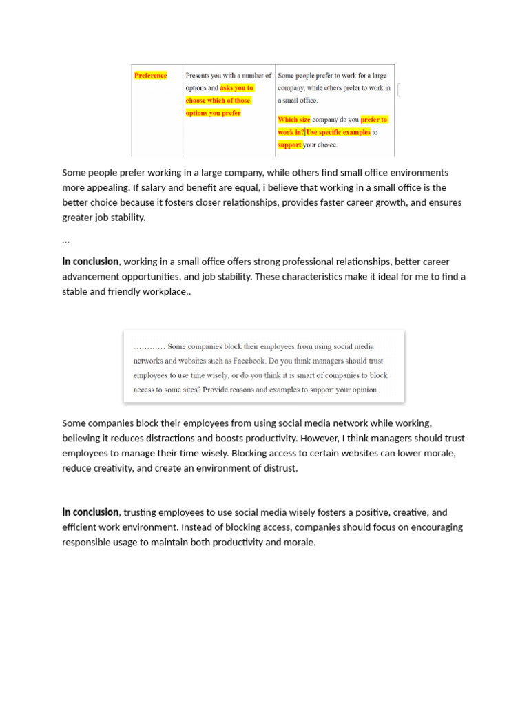 Some People Prefer Working in A Large Company | PDF