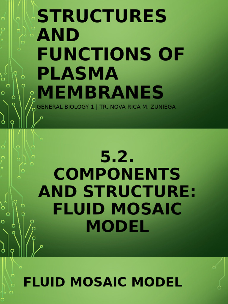 5.2. Components and Structures Fluid Mosaic Model | PDF | Cell Membrane ...
