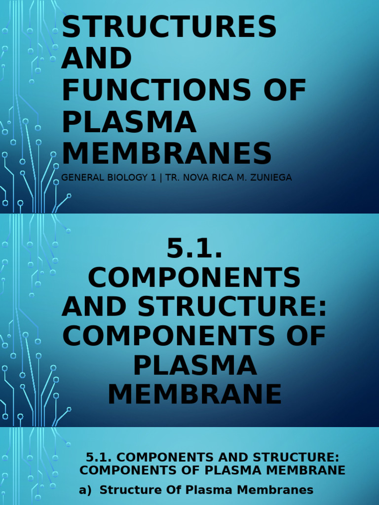 5.1. Components and Structures Components of Plasma Membranes 1 | PDF | Cell Membrane | Cell ...