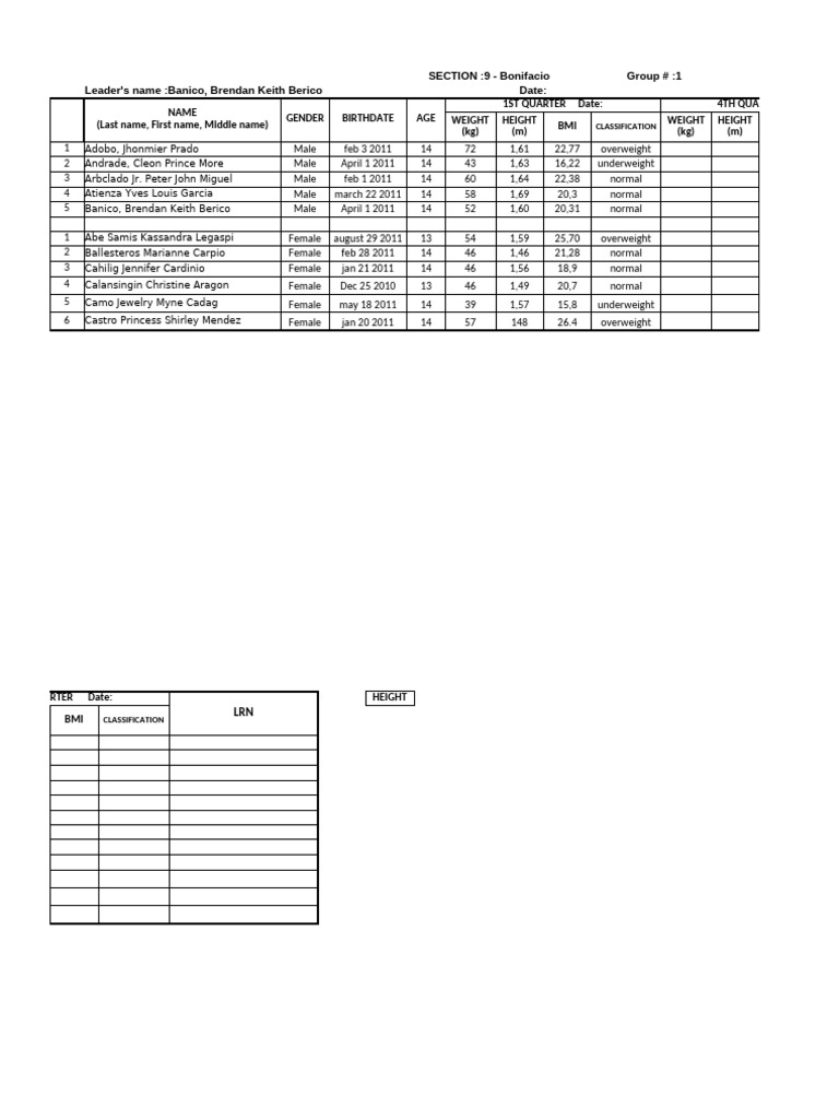Sf8 Bmi Bonifacio Group 1 | PDF