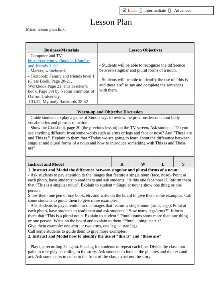Grammar Lesson Plan +video | PDF | Plural | Grammatical Number