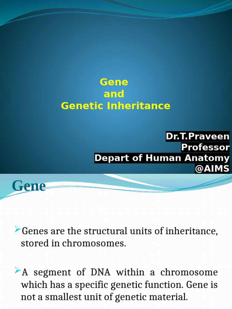 Genetic Inheritence | PDF | Dominance (Genetics) | Gene