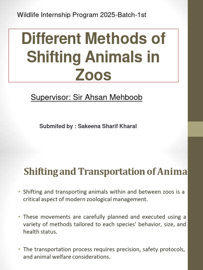 Transporting Zoo Animals Safely | PDF | Zoo | Zoology