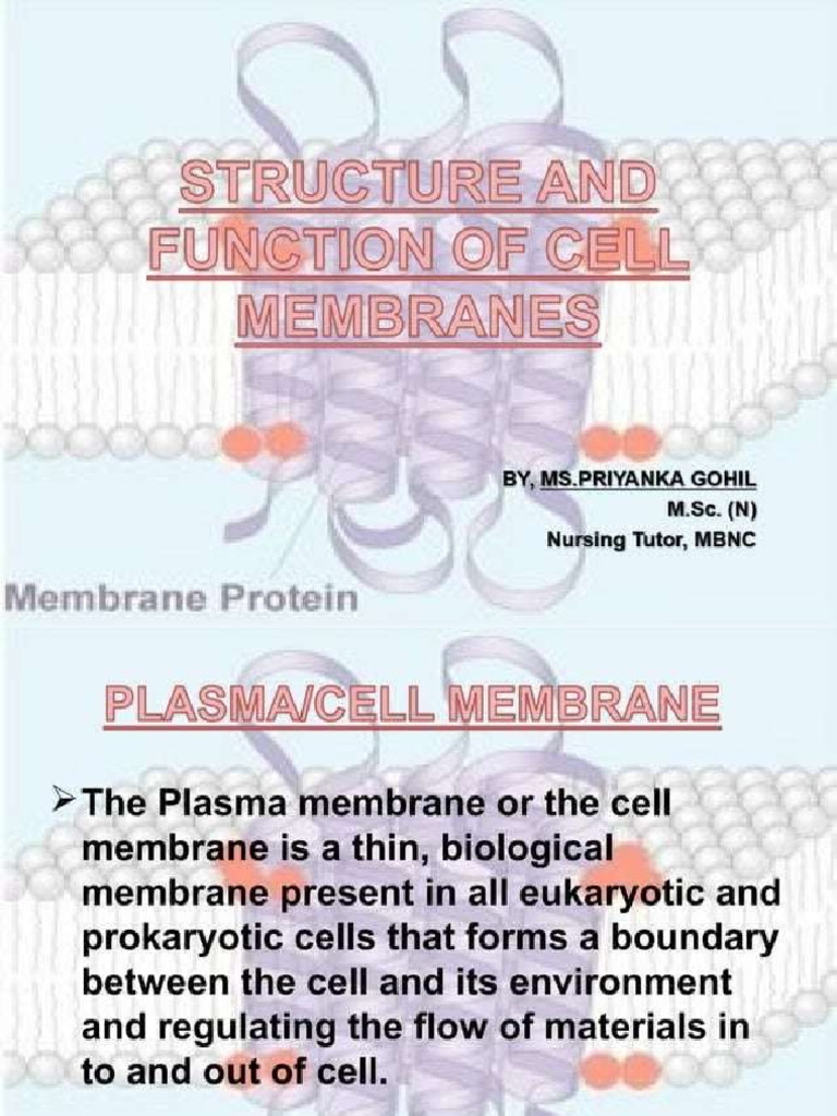 Cell Membrane | PDF