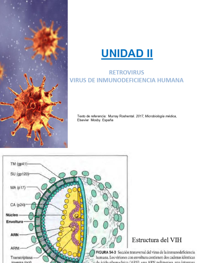 Clase 8. Retrovirus | PDF | VIH | Retrovirus