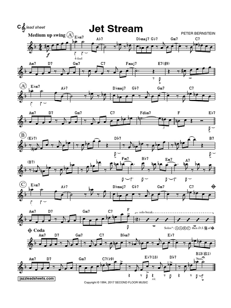 Bernsteinpeter Jetstream C | PDF