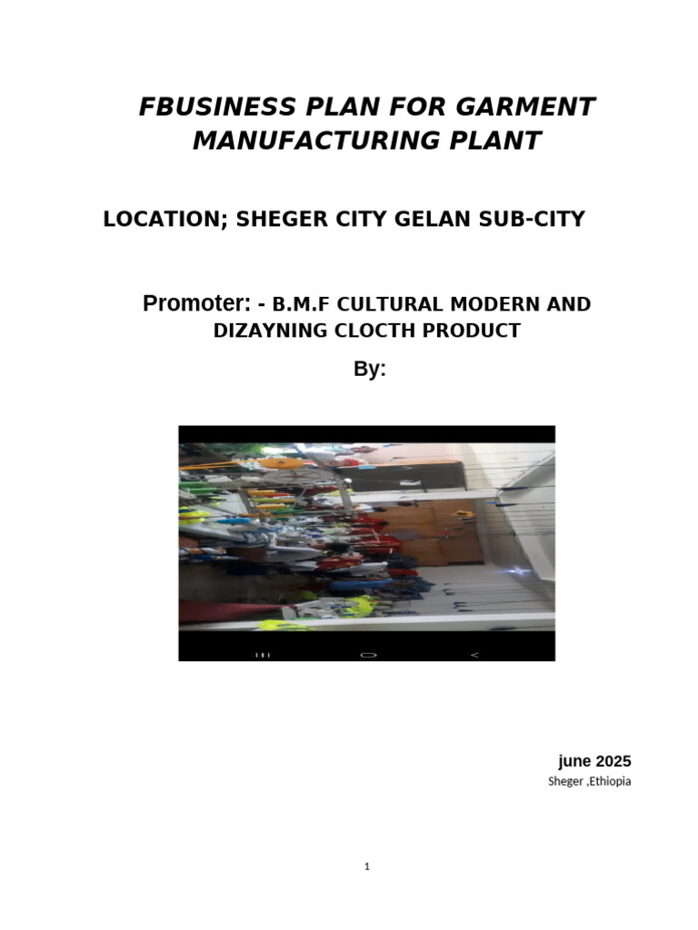 DEJU Business Plan Corect | PDF | Demand | Market (Economics)