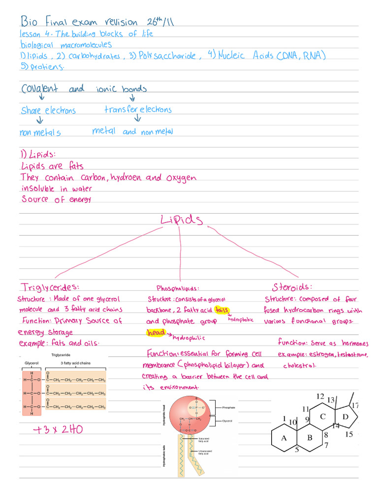 Bio Final Exam Revision XXy | PDF