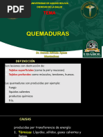 Regla de Wallace para Quemaduras | PDF | Anatomía humana | Anatomía de ...
