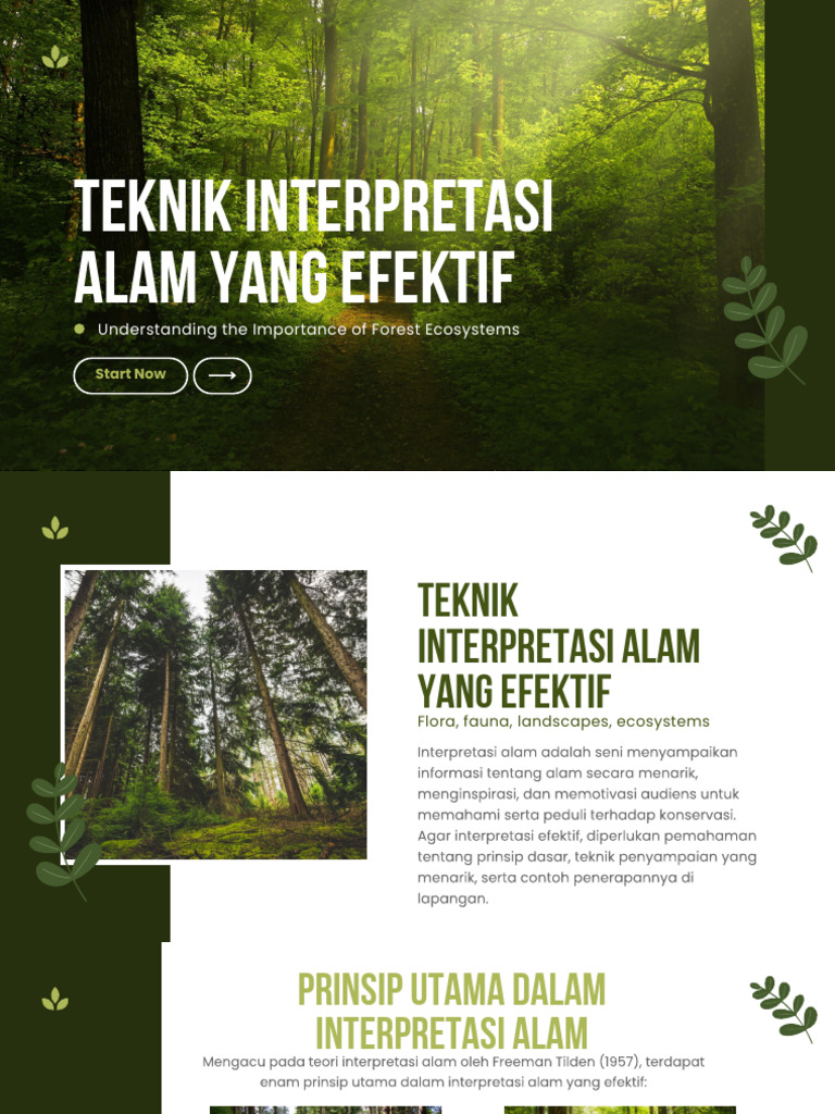 Teknik Interpretasi Alam Yang Efektif | PDF