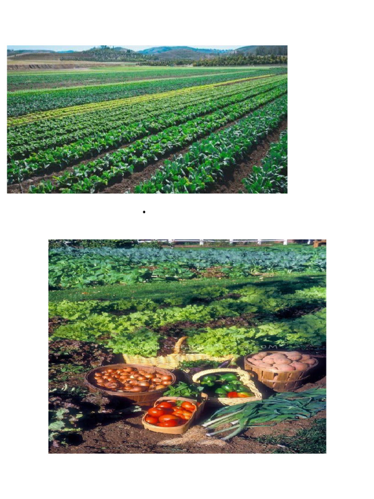 Crop Animal Rearing | PDF