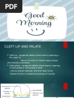 Millard's Technique for Cleft Lip Repair | PDF | Human Nose | Plastic ...