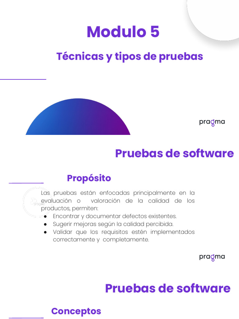 2.5 Técnicas y Tipos de Pruebas | PDF | Pruebas de software | Software
