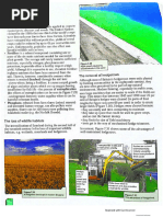 Firestick Farming: Ecosystem Impacts | PDF | Agriculture | Soil