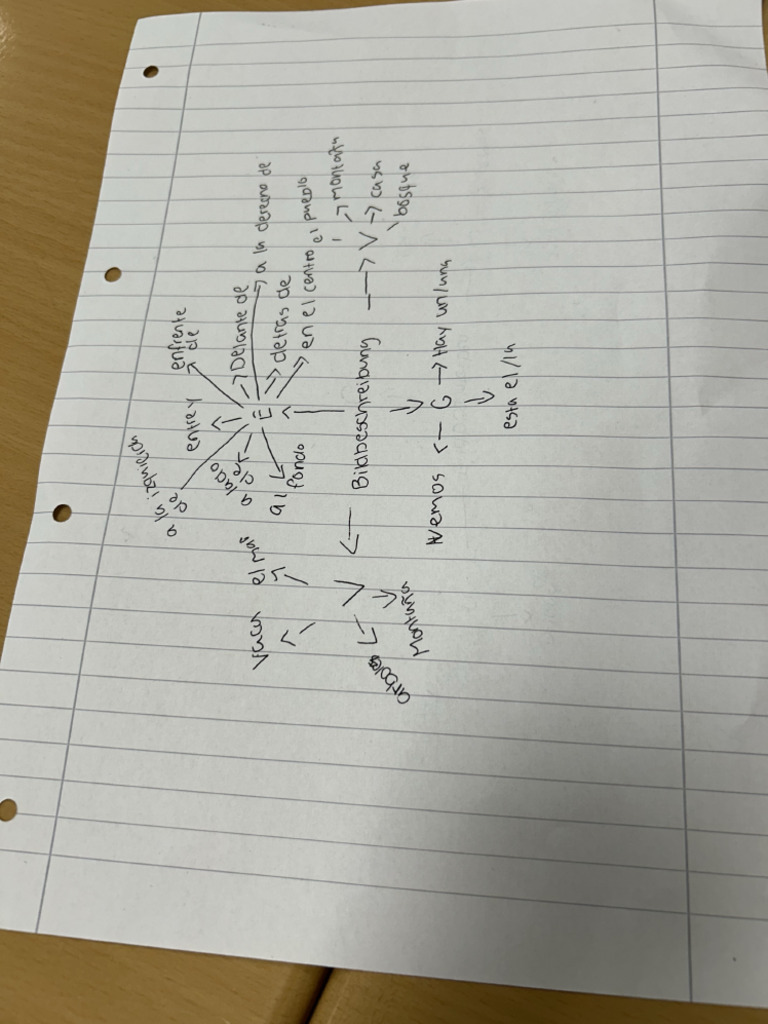 Aylin + Siifan | PDF