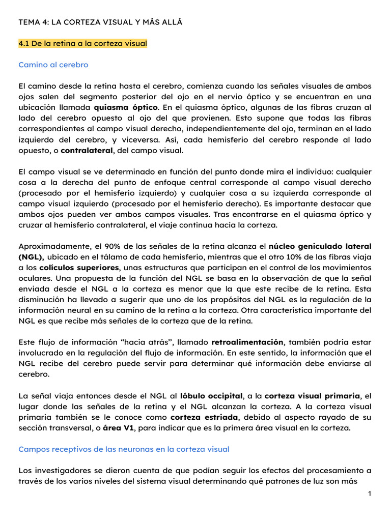 Percepción Tema 4 2024-2025 | PDF | Corteza visual | Percepción visual